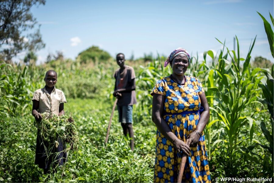 WFP and UNOSSC Collaborate with the IBSA Fund and the Government of ...