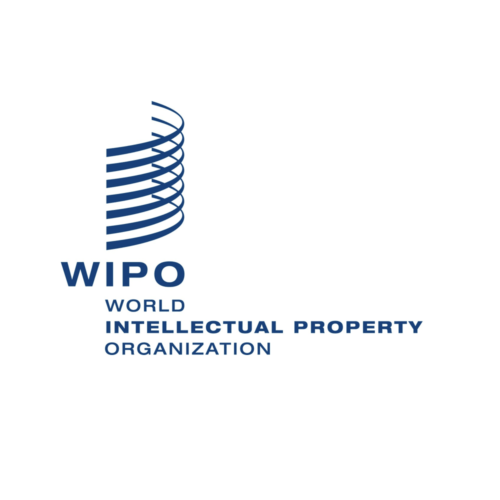 Featured Partner - WIPO - South-South Galaxy