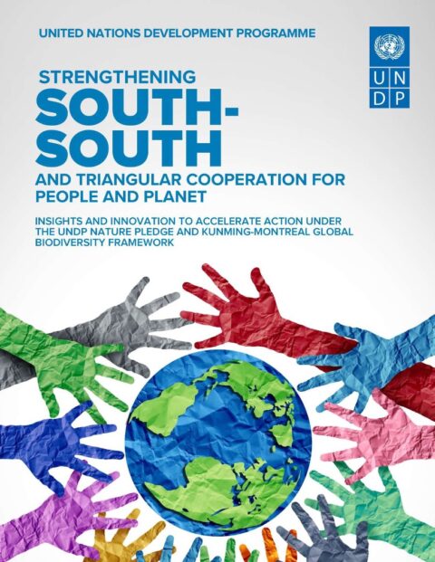 Strengthening South-South and Triangular Cooperation for People and ...